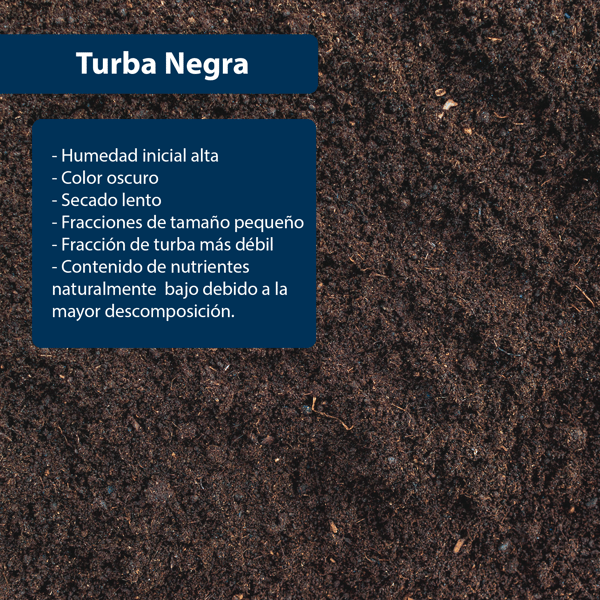 Tipo de Turba - Baksan
